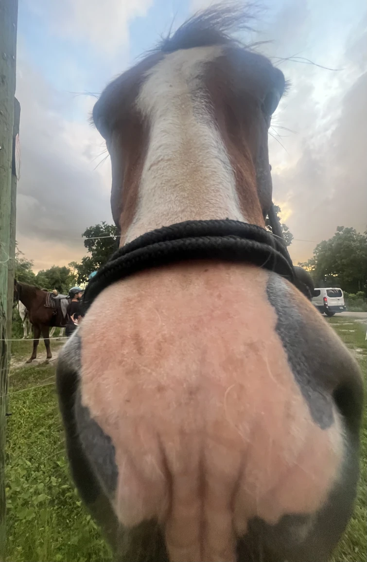 Promotions + Big Giveaway + Icon Competition Reminder | Fandom