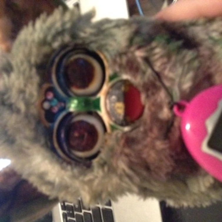 FNL Magic 8 Ball Furby | Fandom