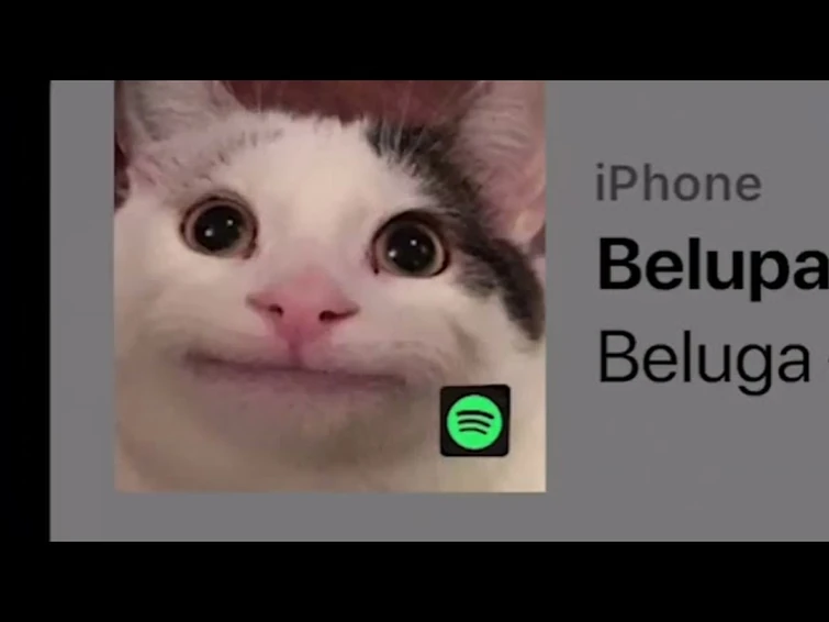 What do you think of the belupacito theme? | Fandom