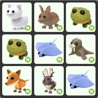 Trading all of these Neon Pets for any NFR Legendary Pet! | Fandom