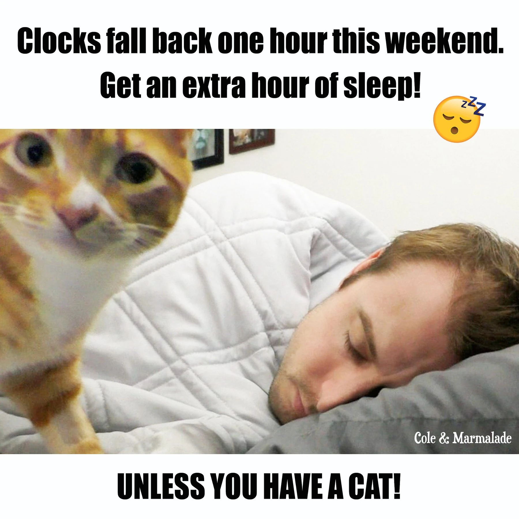 Back to Standard Time | Fandom
