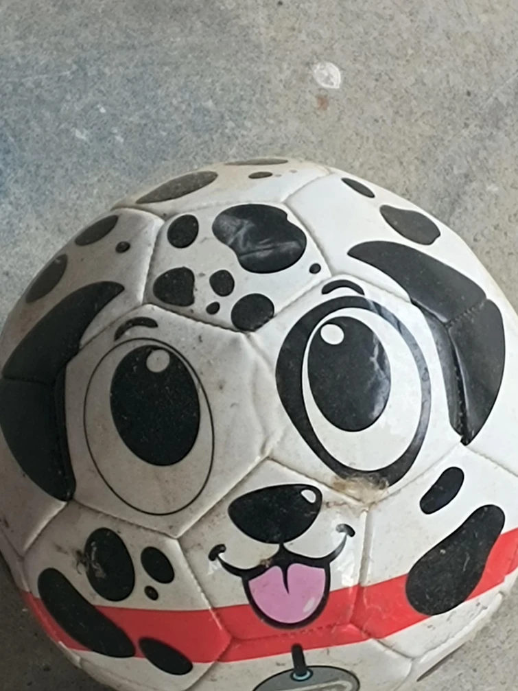 The Average Shai Hate Post | Fandom