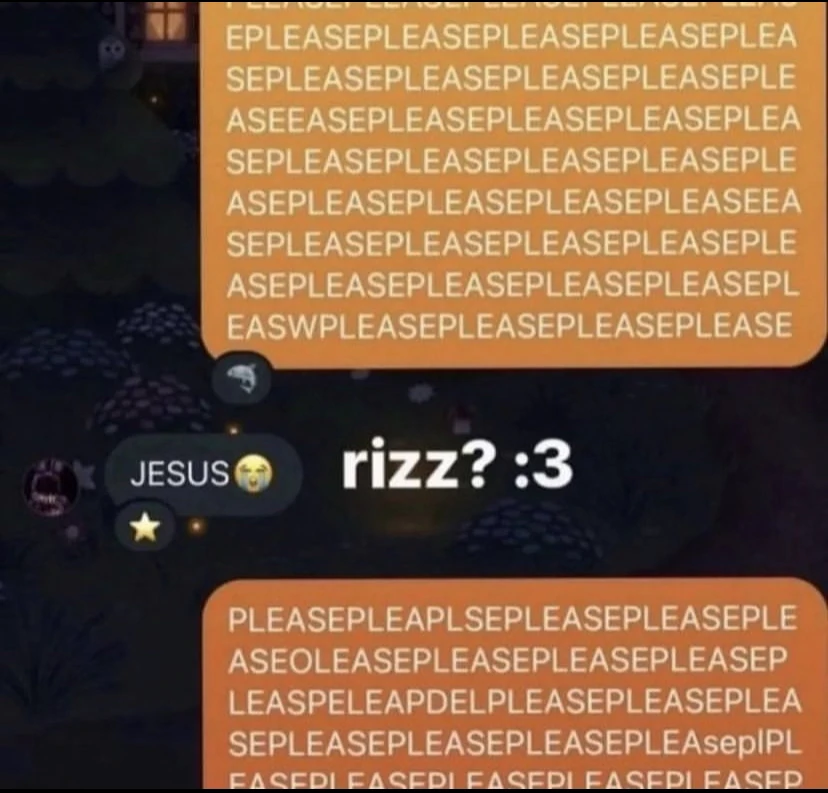 bro got W rizz | Fandom