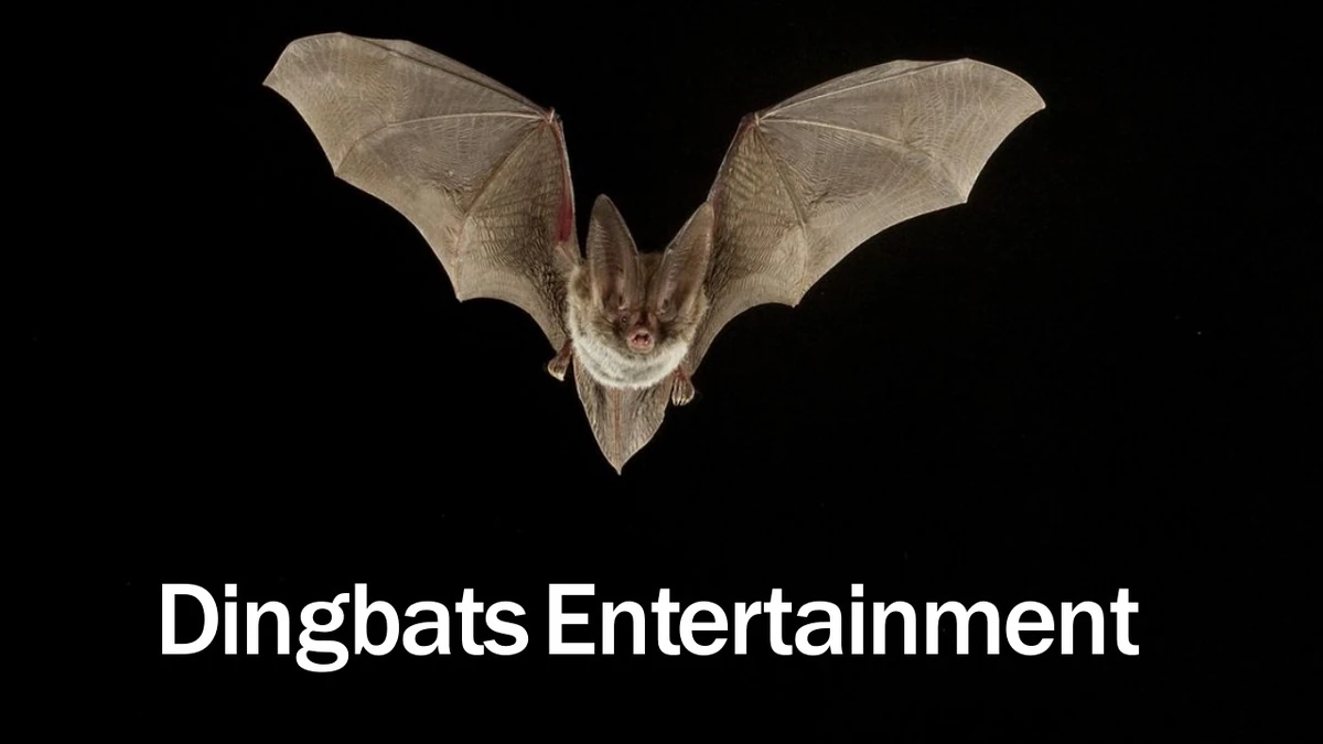 Dingbats, ltd. | Adam's Dream Logos 2.0 - Adam's Closing Logos - Dream Logos Wiki | Fandom