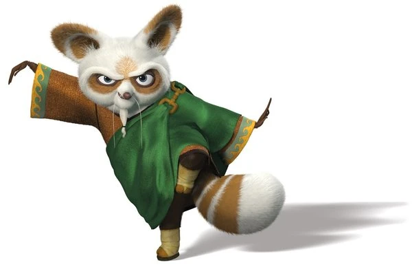 Shifu | A Day with Kung Fu Series Wiki | Fandom
