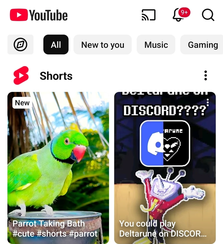 Discuss Everything About Deltarune Wiki | Fandom