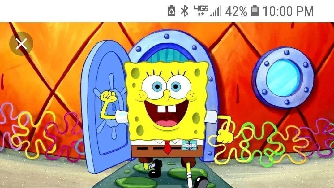 More seasons of SpongeBob | Fandom