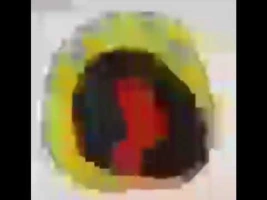 Why is Barrb so hard to get. | Fandom