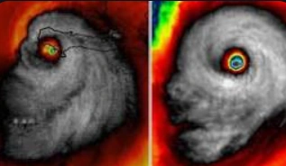 chat these entity templates are peak | Fandom