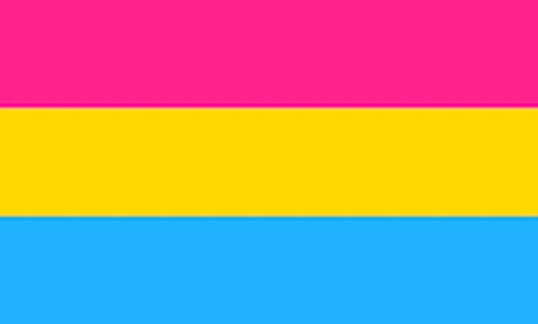 Why is the background for Flyte's intro card the pansexual flag | Fandom