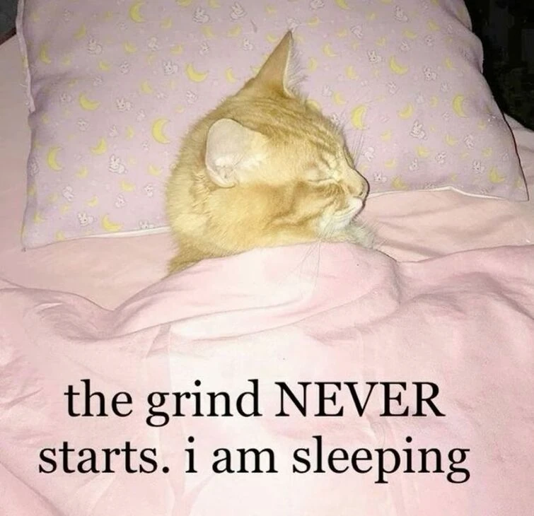 Good night homies and homos | Fandom