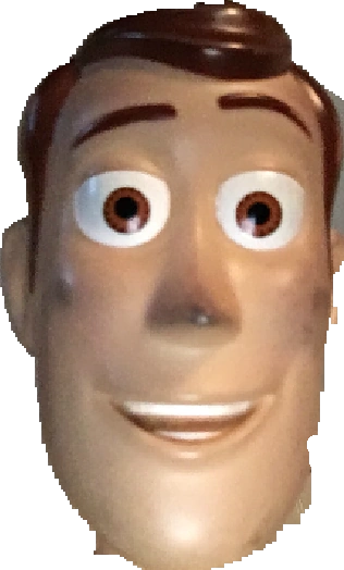 Woody Head | Add anything to this Wiki | Fandom