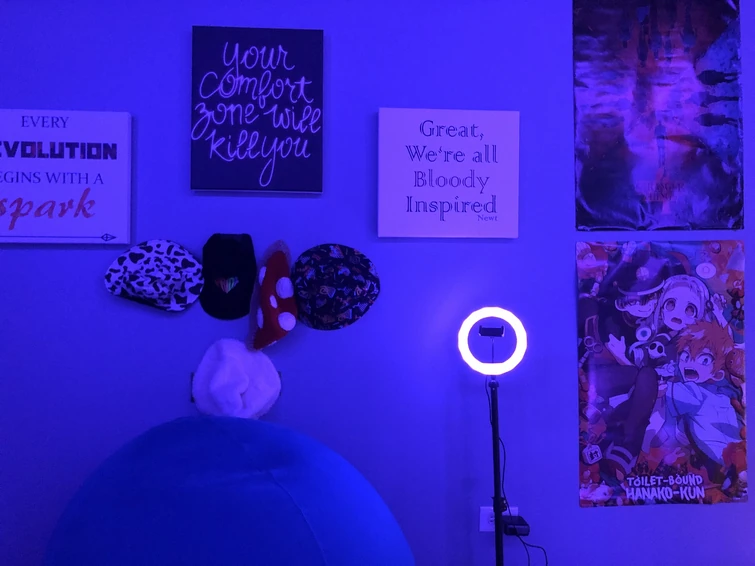 just redid my entire room! i was going for a dazecore aesthetic. how do ...