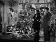 Cat Addams | Addams Family Wiki | Fandom