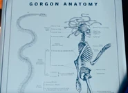 Gorgon | Addams Family Wiki | Fandom