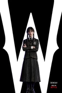 Wednesday (series) | Addams Family Wiki | Fandom