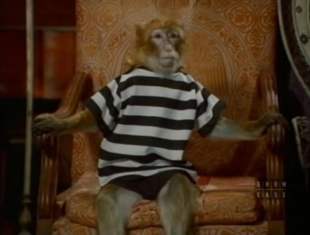 Great-Uncle Link | Addams Family Wiki | Fandom