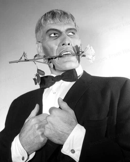 Lurch/1964 and 1977 | Addams Family Wiki | Fandom