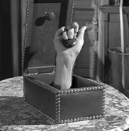 Thing | Addams Family Wiki | Fandom