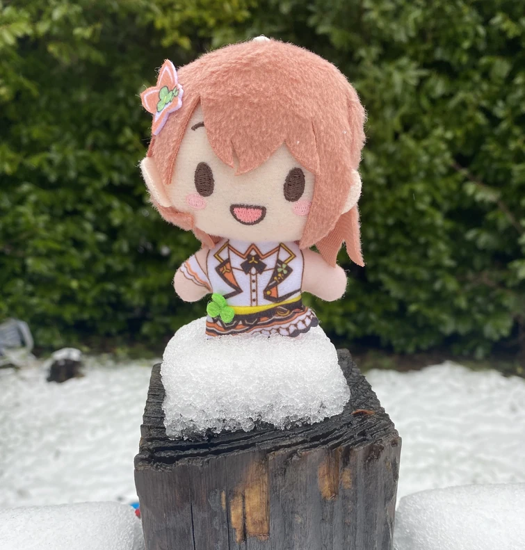 minori attack | Fandom