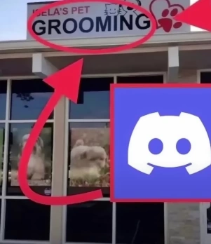 More shitposts | Fandom