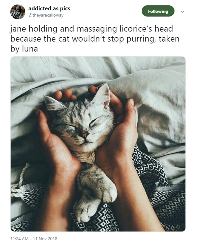 Addicted as Pics | Addictedseries Wikia | Fandom