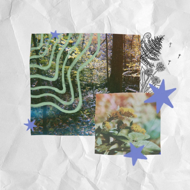 Getting Used To | Addison Grace Wiki | Fandom