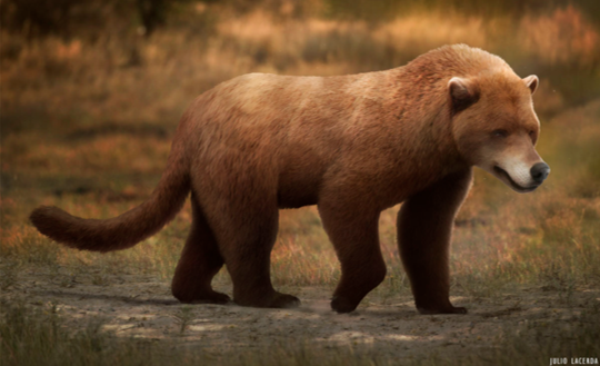 Amphicyon | Additional Creatures Wiki | Fandom