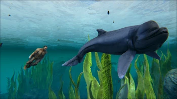 Acrophyseter | Additional Creatures Wiki | Fandom