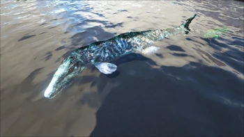 Dakosaurus | Additional Creatures Wiki | Fandom