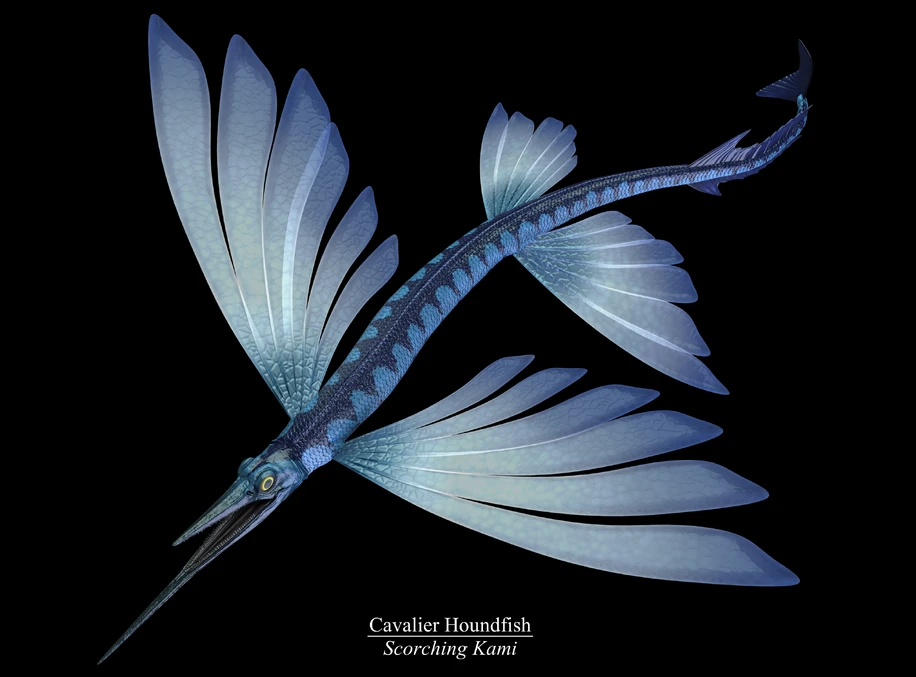 Cavalier Houndfish | Additional Creatures Wiki | Fandom