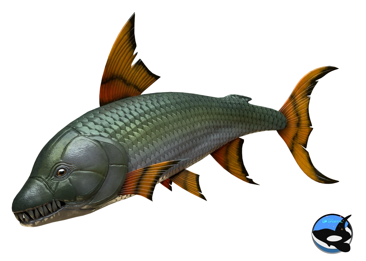 Goliath Tigerfish | Additional Creatures Wiki | Fandom