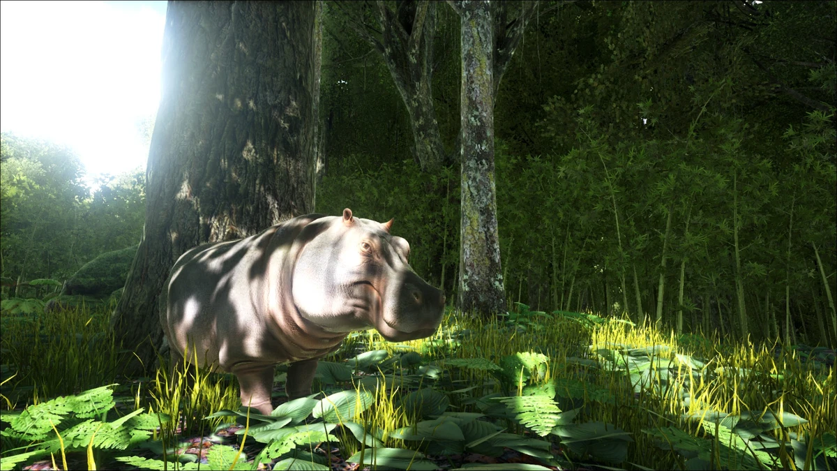 Cyprus Dwarf Hippo | Additional Creatures Wiki | Fandom