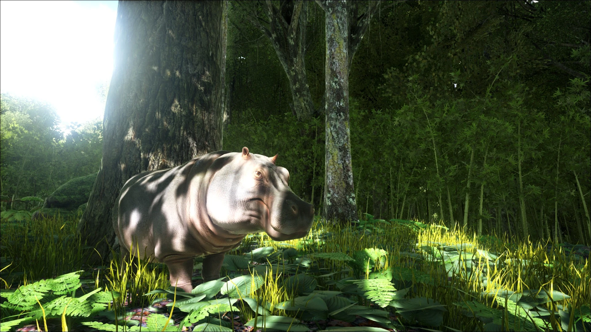 Cyprus Dwarf Hippo | Additional Creatures Wiki | Fandom