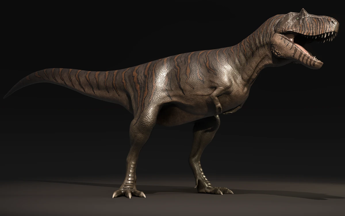 Albertosaurus | Additional Creatures Wiki | Fandom