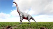 Cedarosaurus | Additional Creatures Wiki | Fandom