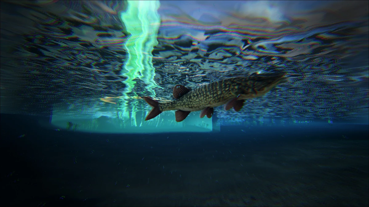Pike | Additional Creatures Wiki | Fandom