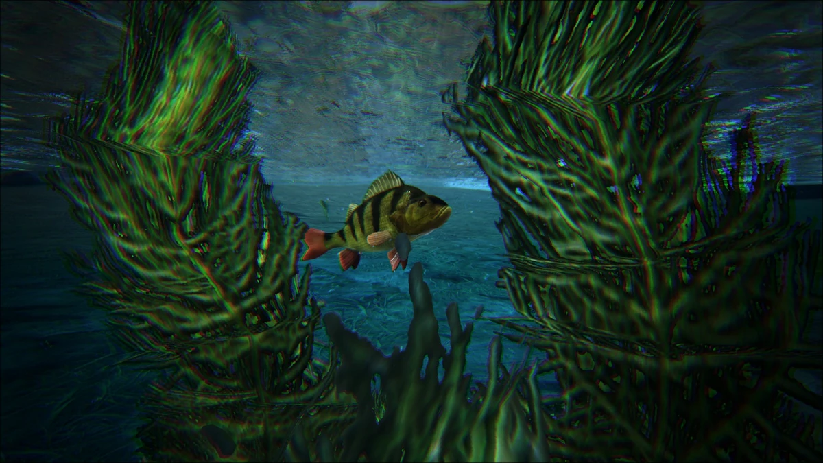 Perch | Additional Creatures Wiki | Fandom