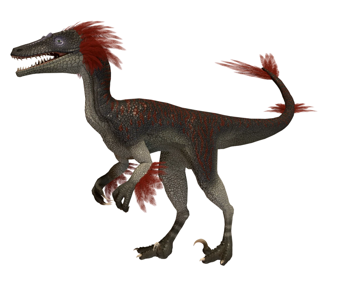 Austroraptor | Additional Creatures Wiki | Fandom