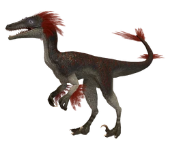 Austroraptor | Additional Creatures Wiki | Fandom