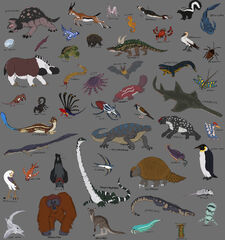 Concept Art Gallery | Additional Creatures Wiki | Fandom