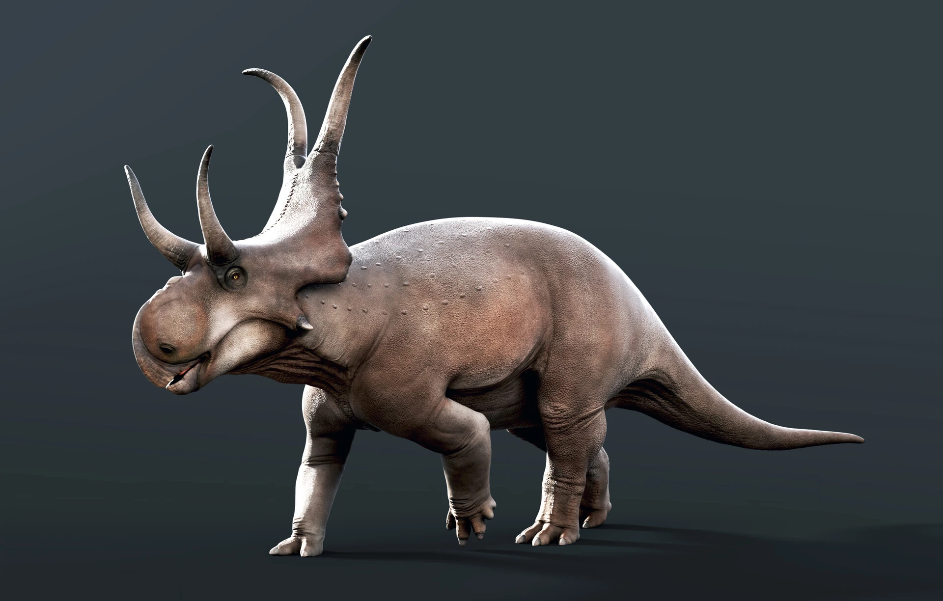 Diabloceratops