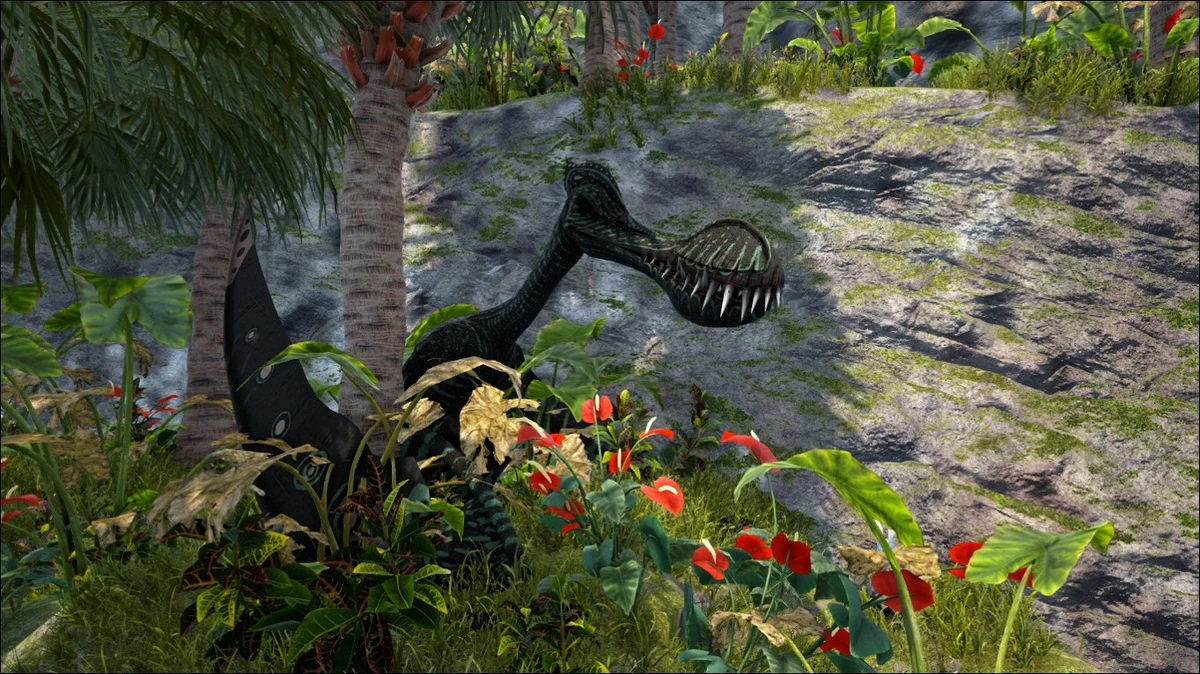 Coloborhynchus | Additional Creatures Wiki | Fandom