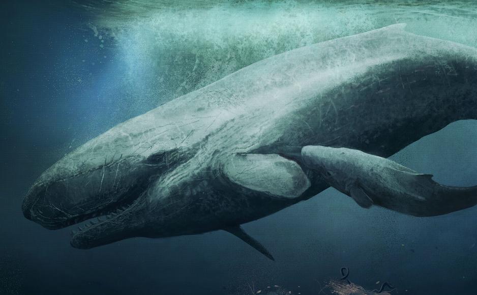 Livyatan | Additional Creatures Wiki | Fandom