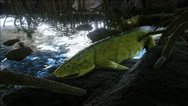 Anthracosaurus | Additional Creatures Wiki | Fandom