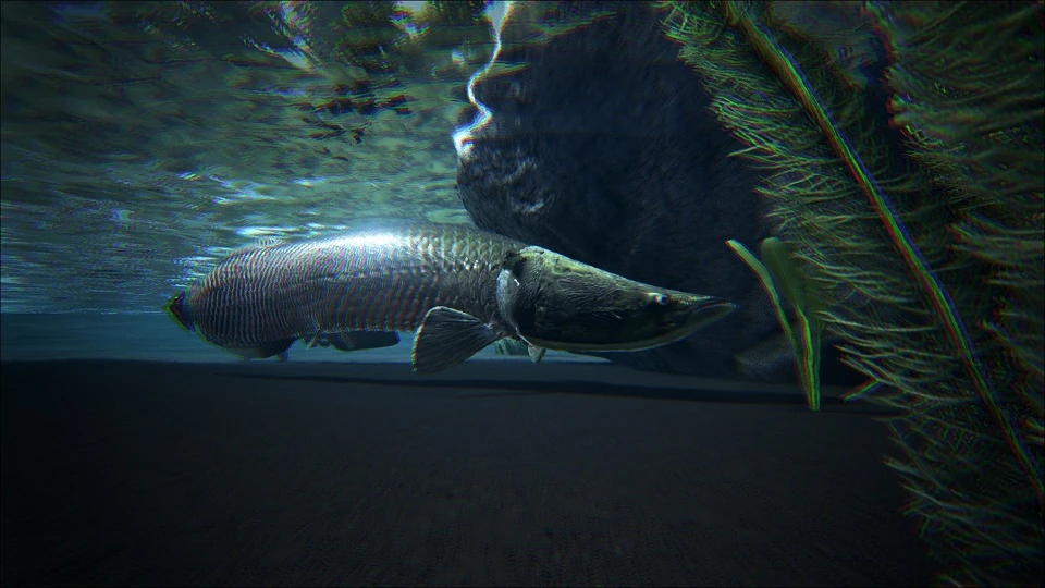 Arapaima | Additional Creatures Wiki | Fandom