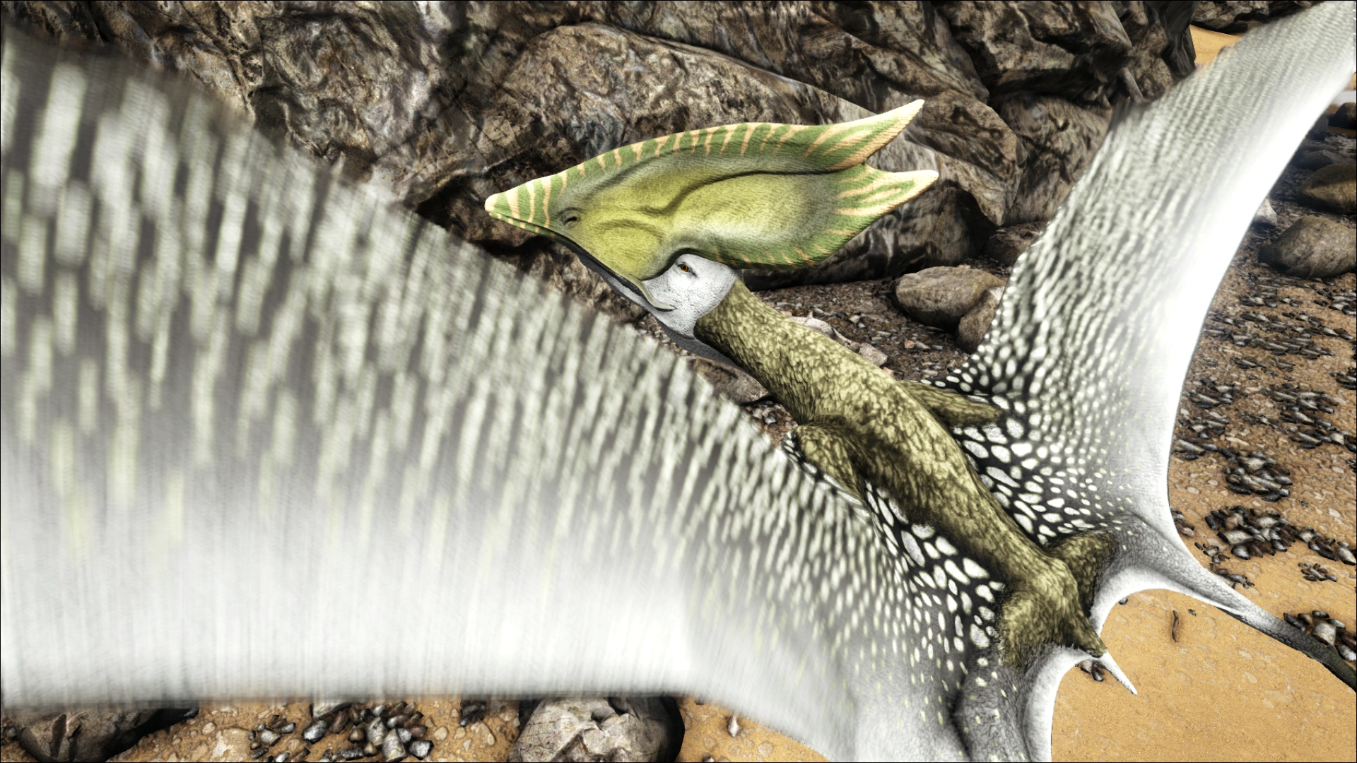 Thalassodromeus | Additional Creatures Wiki | Fandom