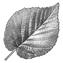 Resources | Additional Creatures Wiki | Fandom