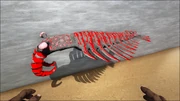 Anomalocaris | Additional Creatures Wiki | Fandom