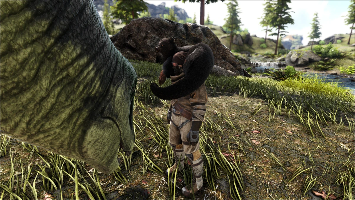 Binturong | Additional Creatures Wiki | Fandom